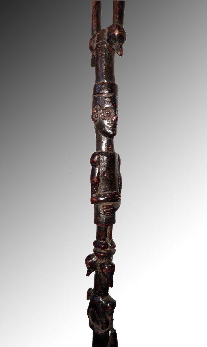 Proantic: Congo Yaka Stick