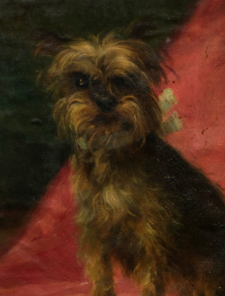 Proantic: Scuola francese del XIX secolo. Ritratto di cane Yorkshire T